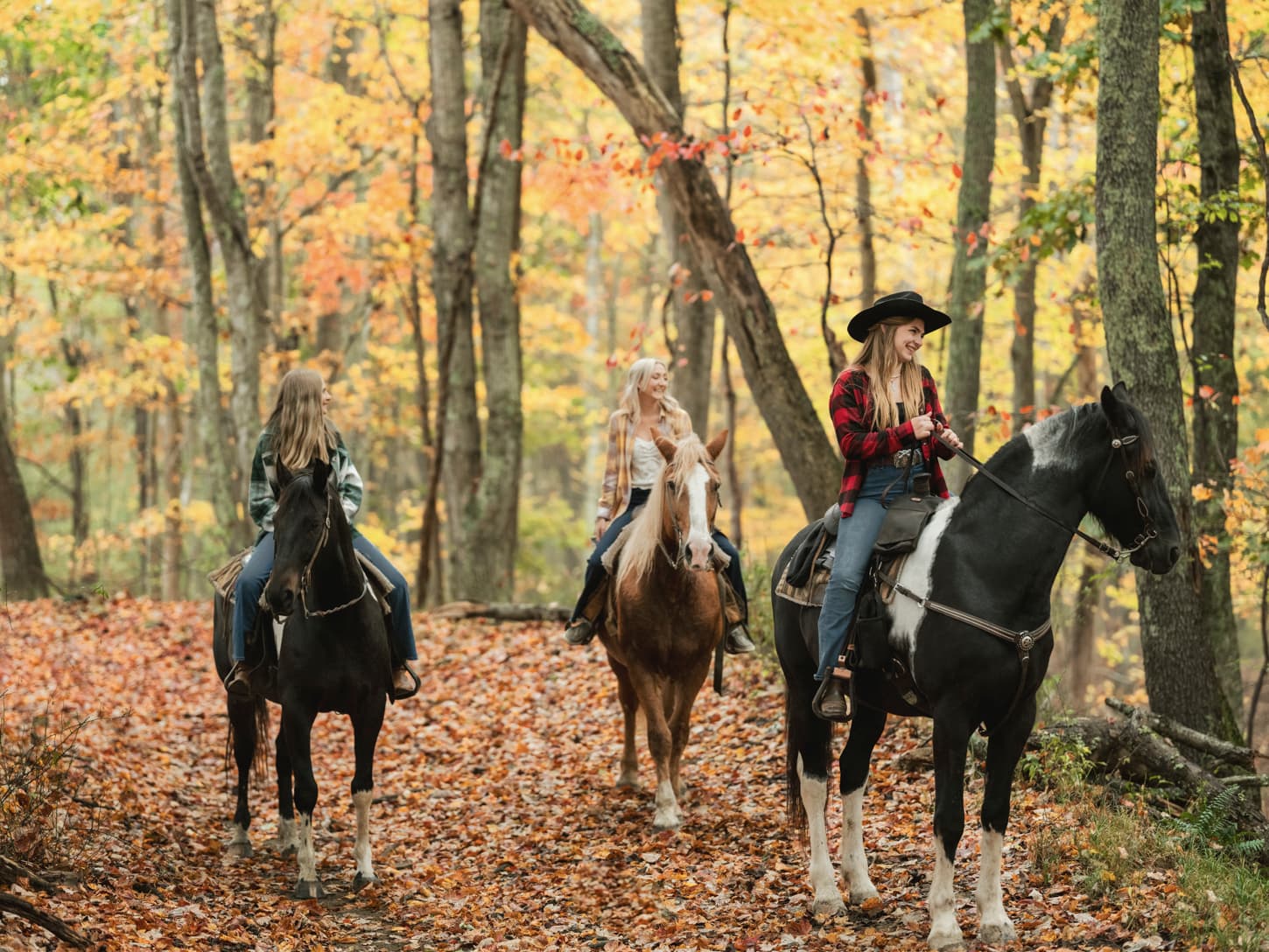 Saddle Up for Adventure: Horseback Riding in Mercer County, WV - Mercer ...